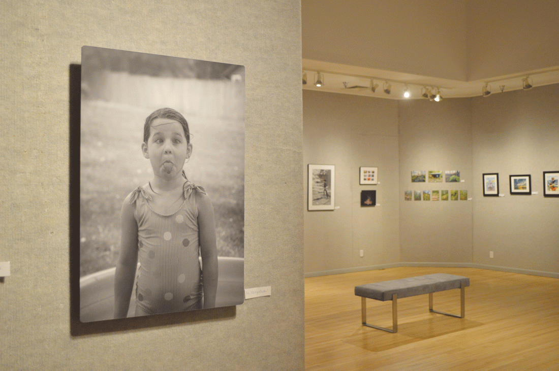 ‘New Normal’ exhibit debuts | News, Sports, Jobs - The Mining Journal